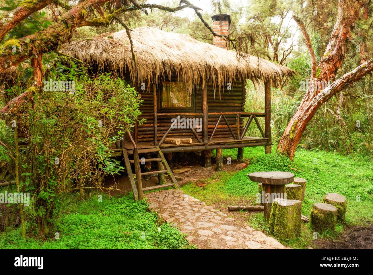 Wooden House Inside The Forest Traditional Roof Built From Dried Straws ...