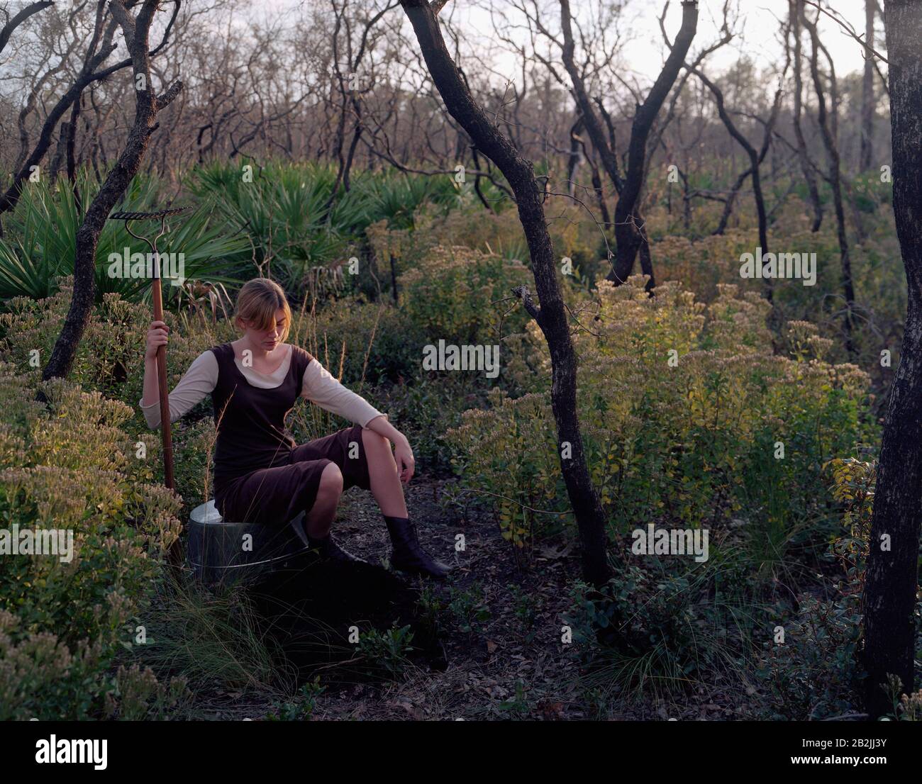 Container rake hi-res stock photography and images - Alamy