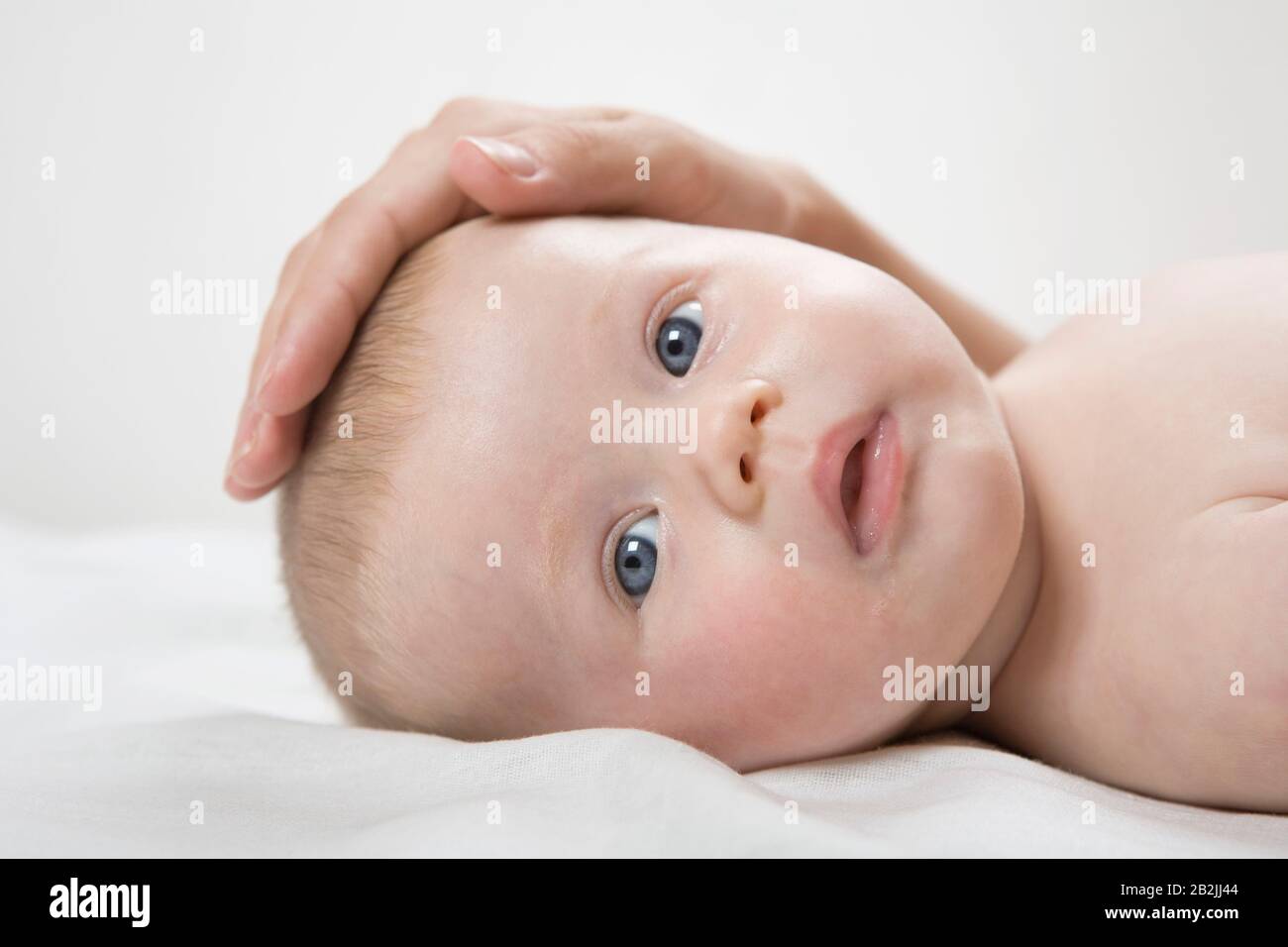 Head 35 1 2 hi-res stock photography and images - Alamy