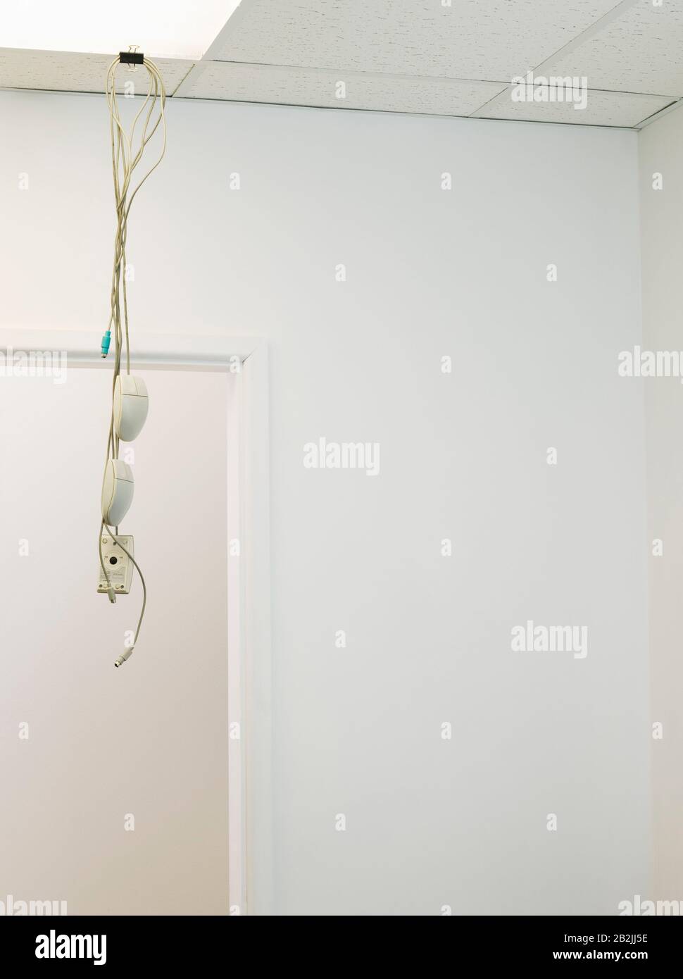 Tangled Hanging from Office Ceiling Stock Photo - Alamy