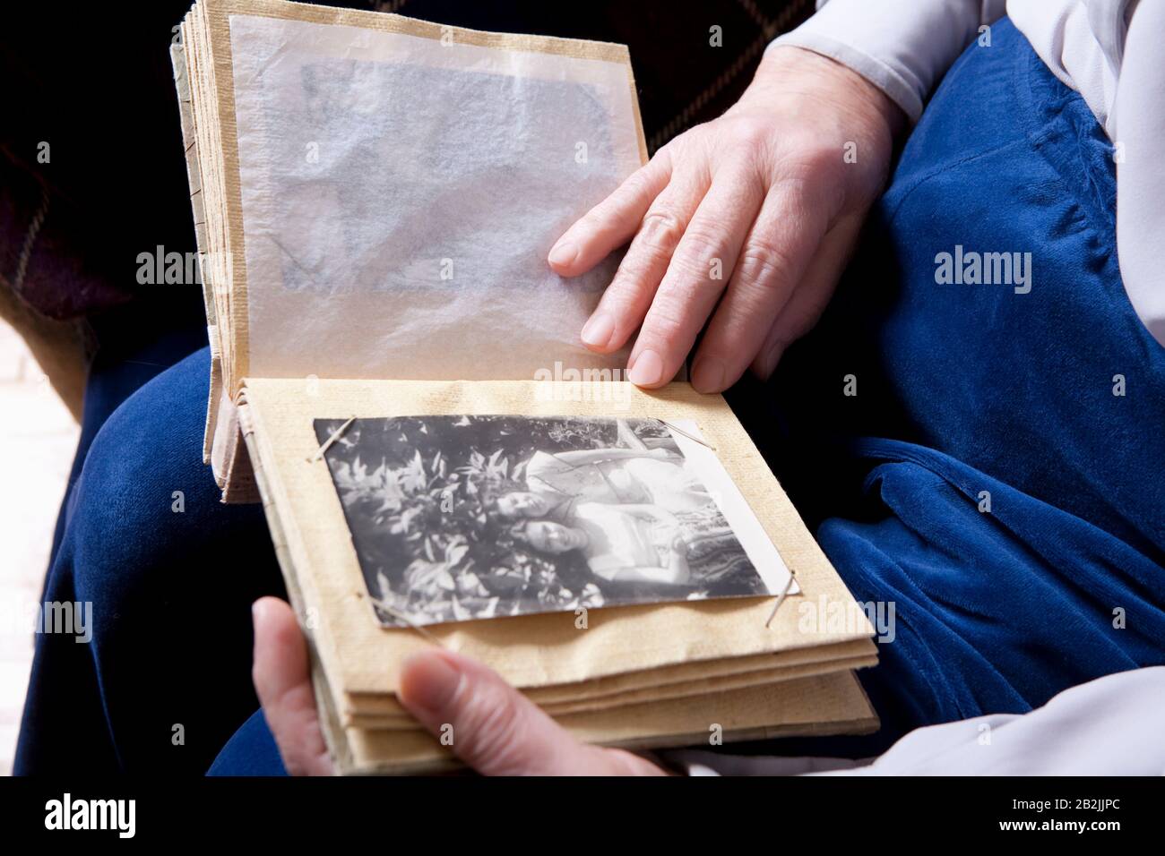 Elderly lady sits looking at photograph album Stock Photo - Alamy