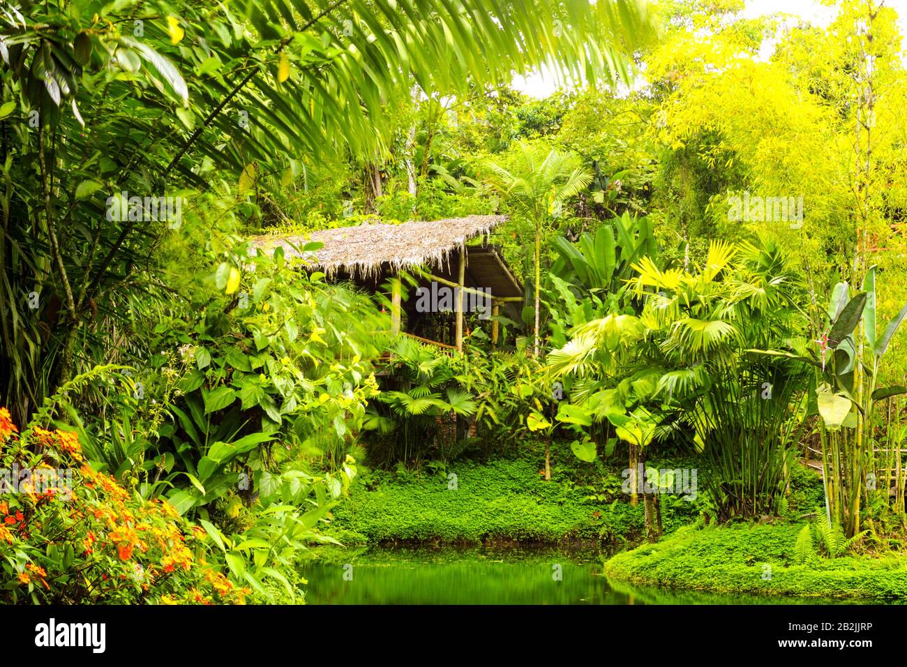 Wooden House In Amazonian Basin Forest Traditional Roof Built From ...