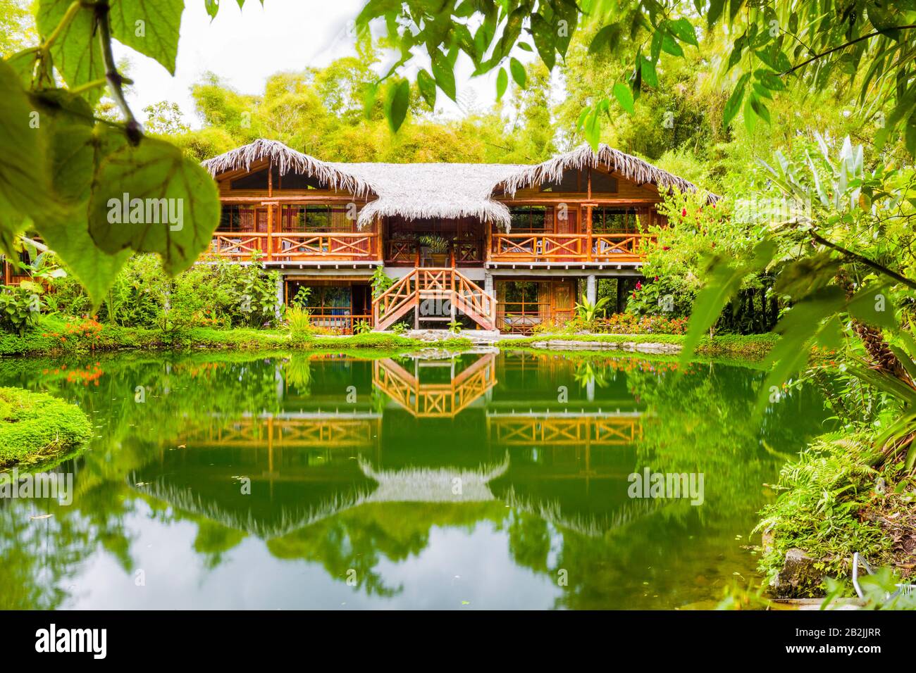 Amazonian dream hi-res stock photography and images - Alamy
