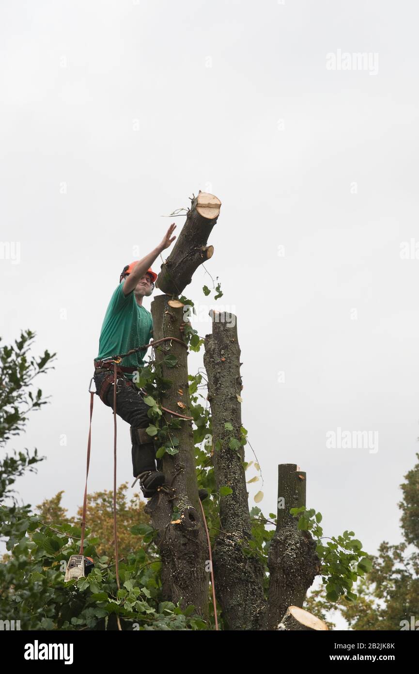 Man falling off a log hi-res stock photography and images - Alamy