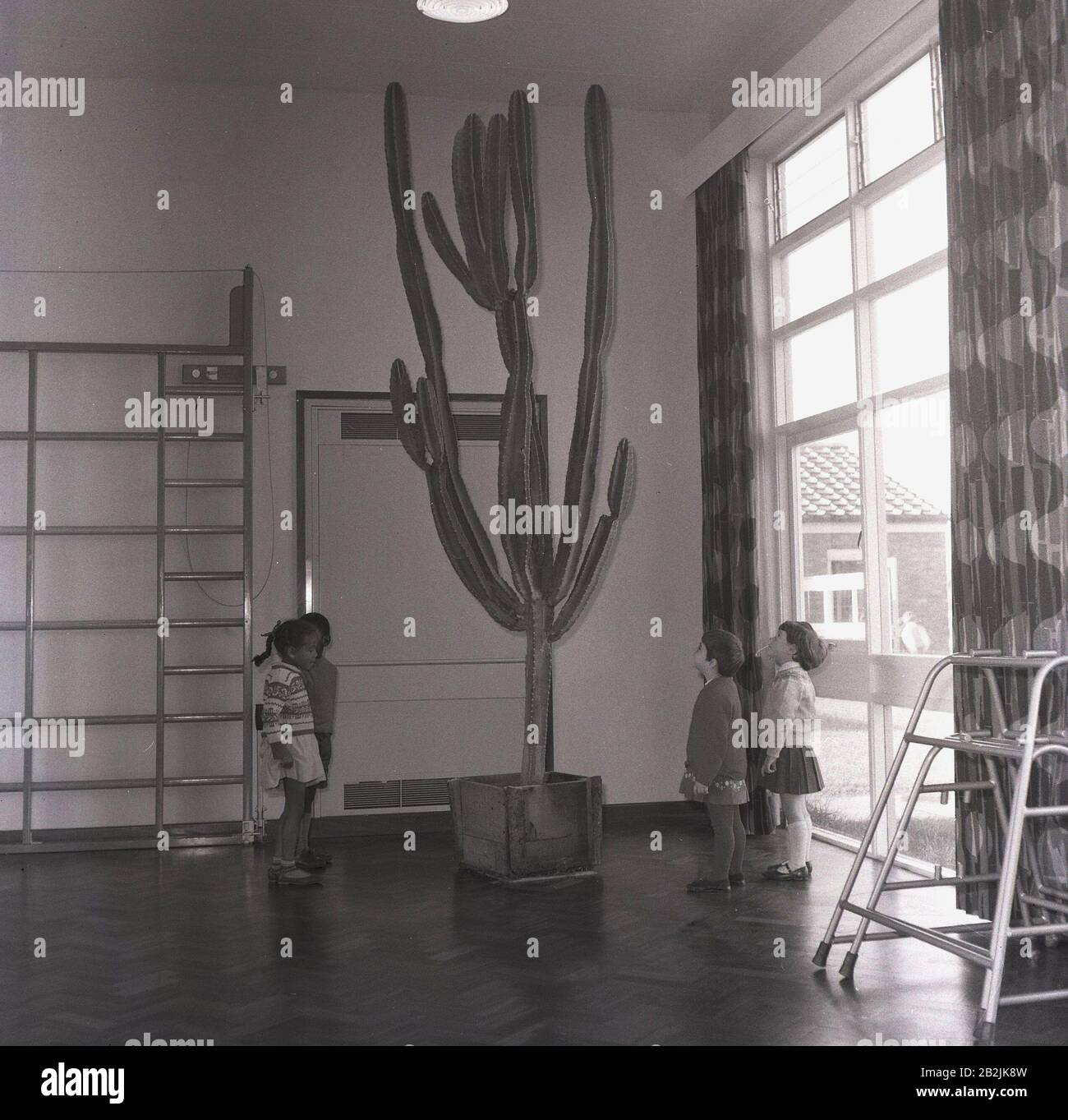 1960s, historical, several primary school children looking up at a ...