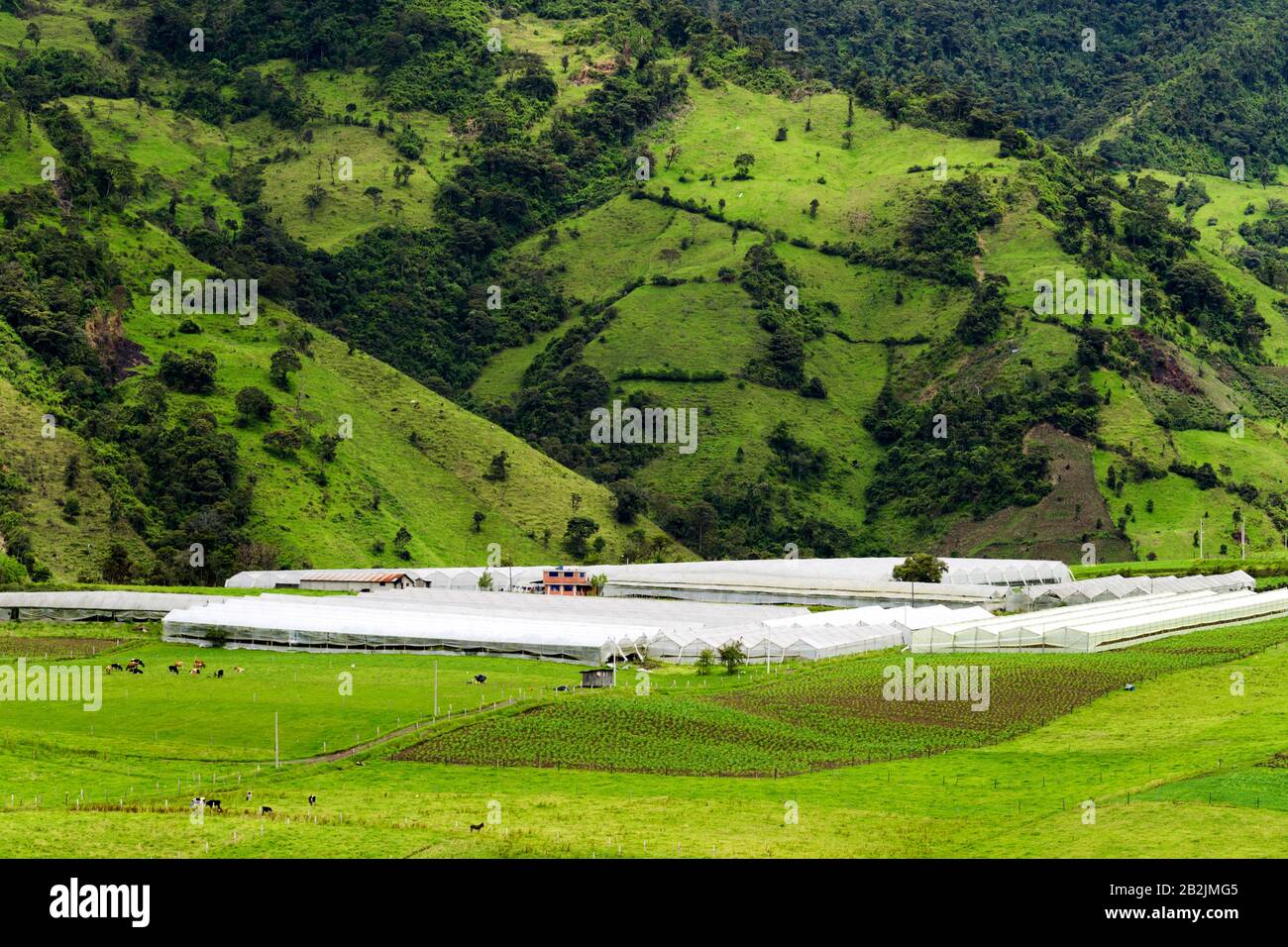 Greenhouses effect hi-res stock photography and images - Alamy