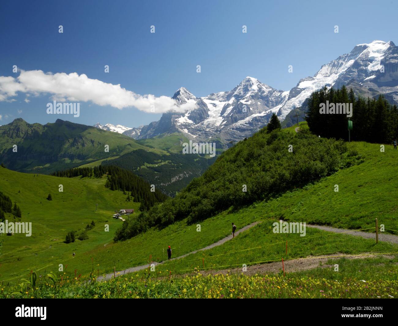 Allmendhubel, Murren, Bernese Oberland, Switzerland Stock Photo - Alamy