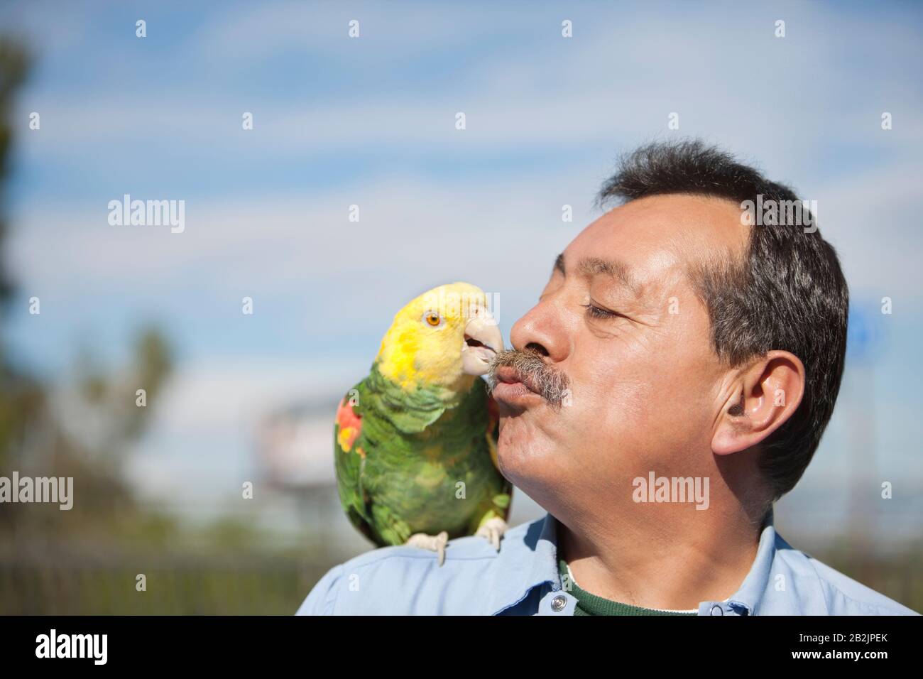 Parrot on shoulder hi-res stock photography and images - Alamy