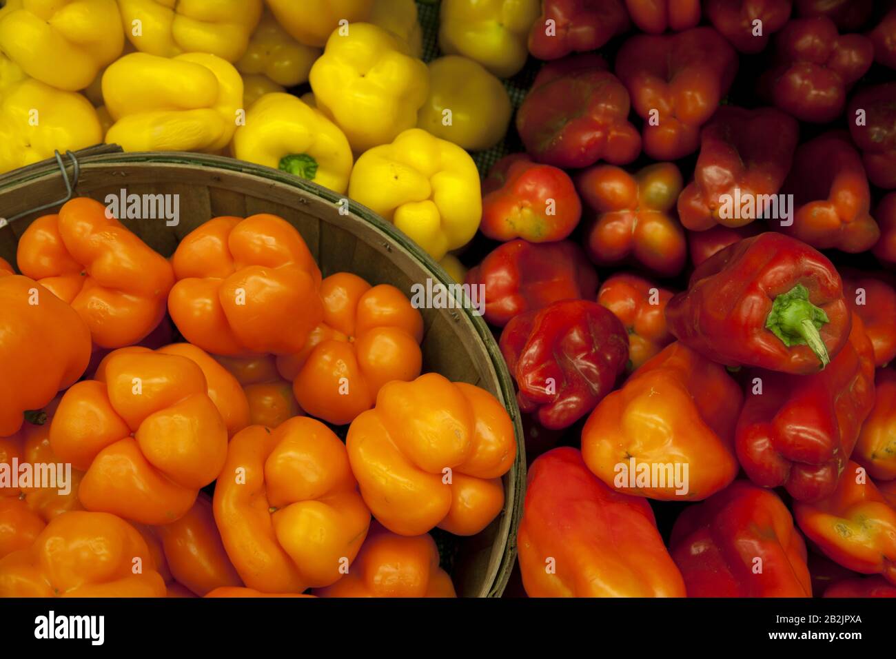 Multicolored bell peppers hi-res stock photography and images - Alamy