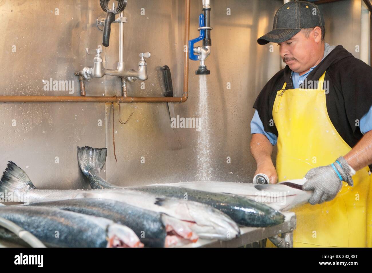 Mature fishmonger washing fish under tap water Stock Photo - Alamy