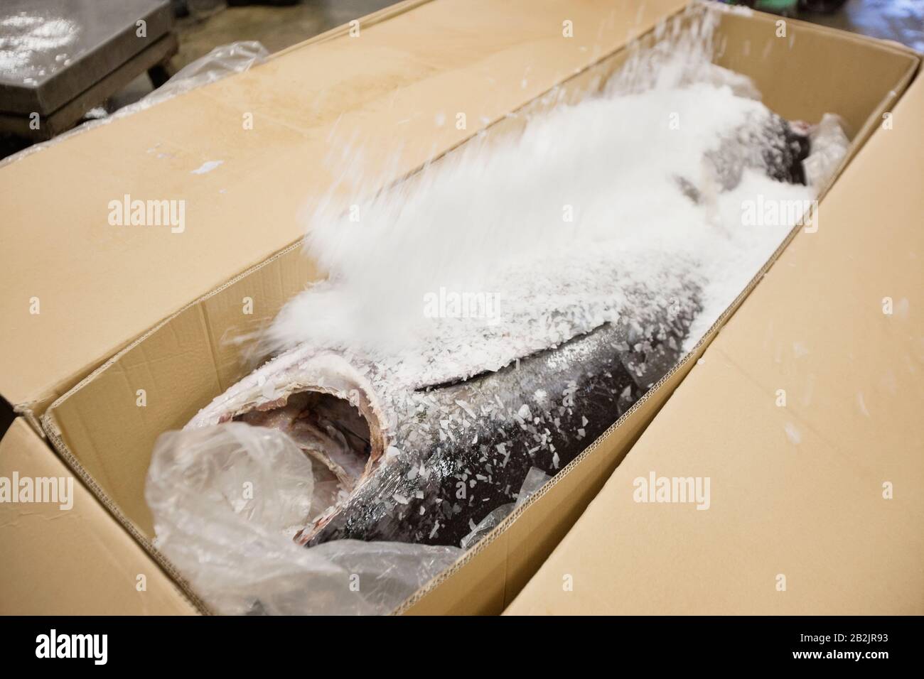 Fish covered in salt hi-res stock photography and images - Alamy