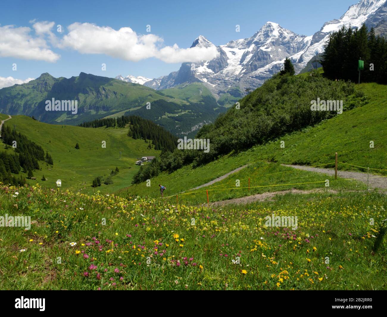 Allmendhubel, Murren, Bernese Oberland, Switzerland Stock Photo - Alamy
