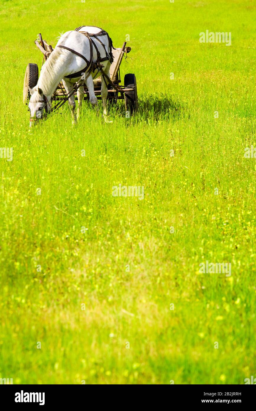 Medium Telephoto Lenses Shallow Depth Of Field Rural Scene Stock Photo ...