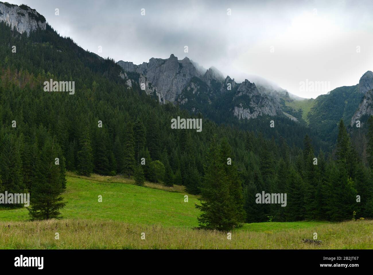 Bergalm, Dolina Koscieliska, Hohe Tatra, Polen Stock Photo - Alamy
