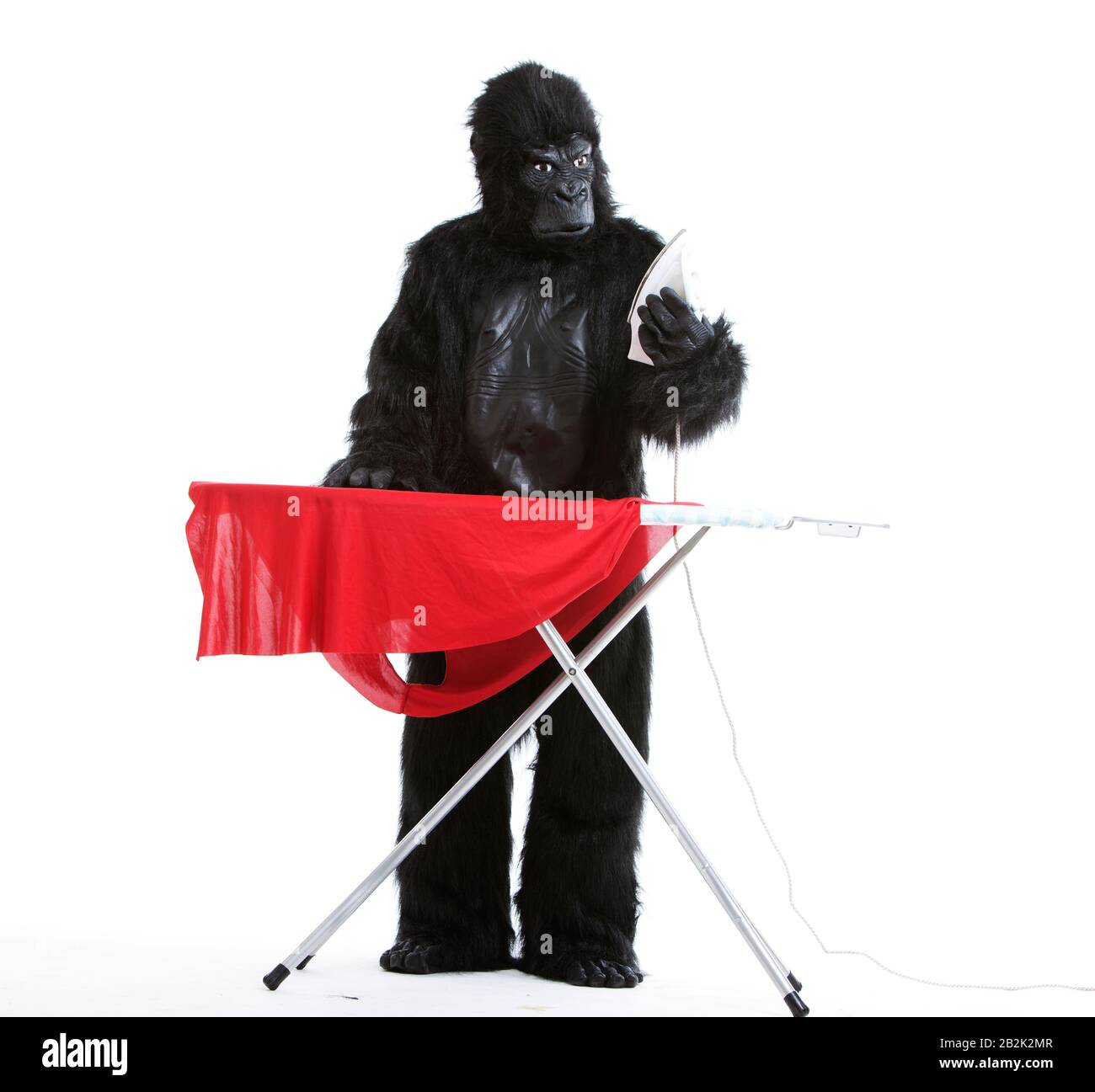 Young man in gorilla costume ironing red cloth against white background ...