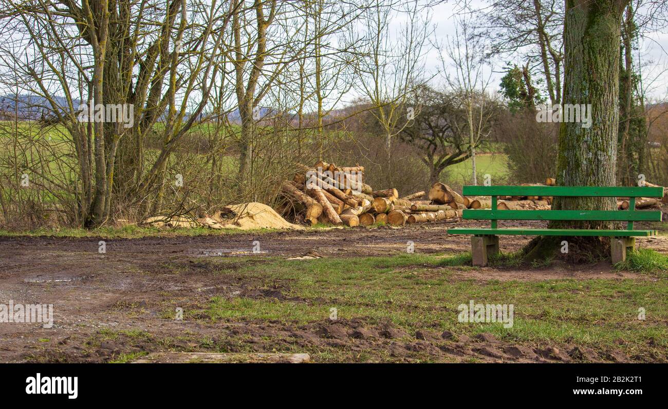The forest behind the bench hi-res stock photography and images - Alamy