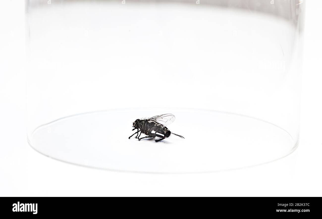 Trapped under hi-res stock photography and images - Alamy