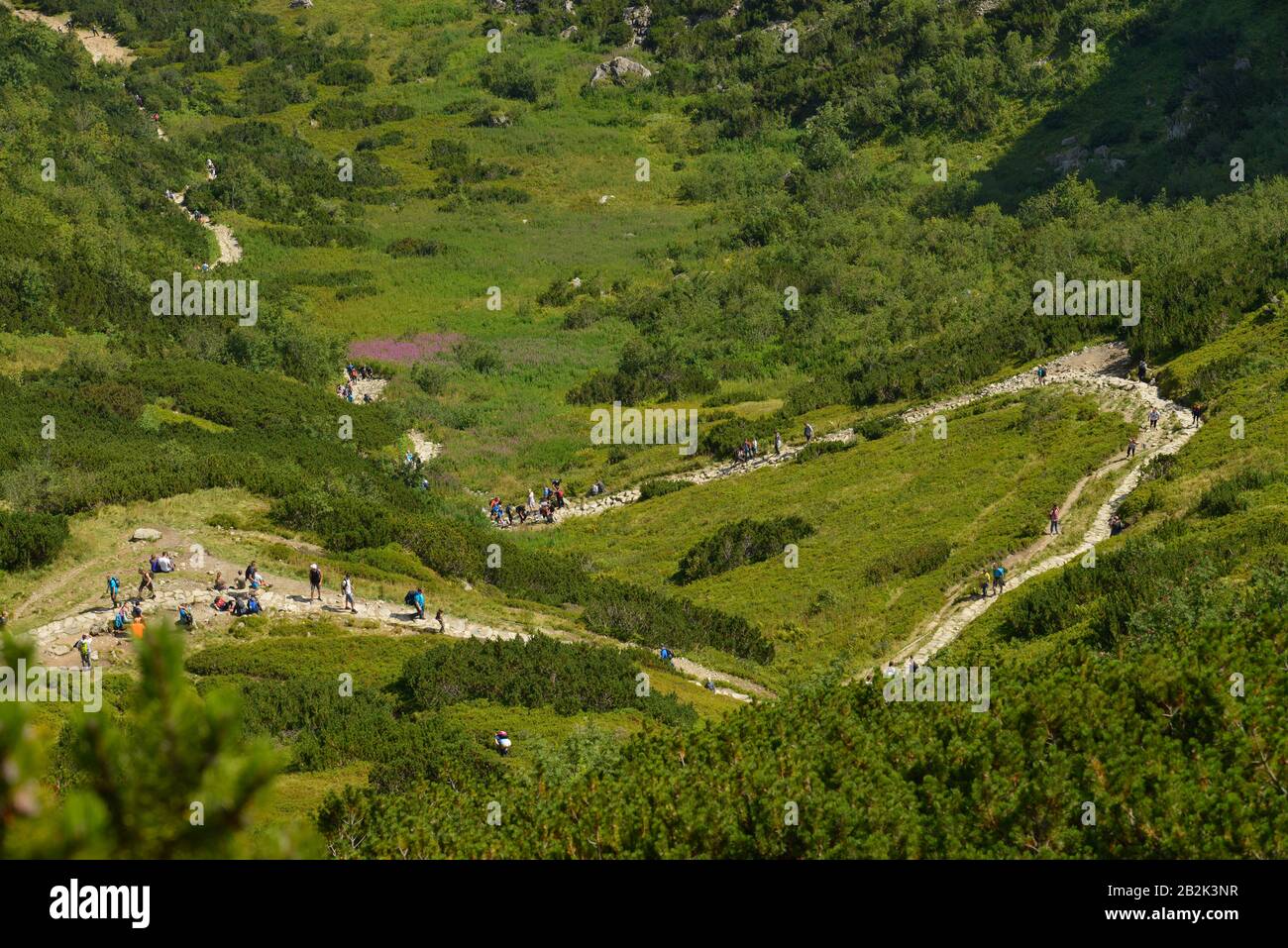 Bergtal Polana Kondratowa, Hohe Tatra, Polen Stock Photo - Alamy