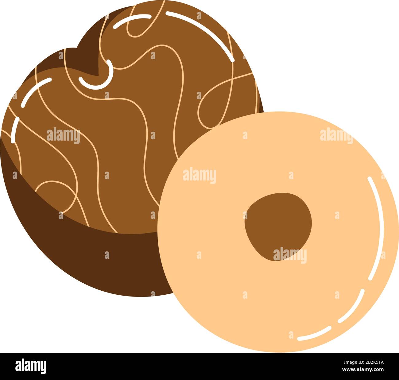 chico exotic fruit flat style Stock Vector Image & Art - Alamy