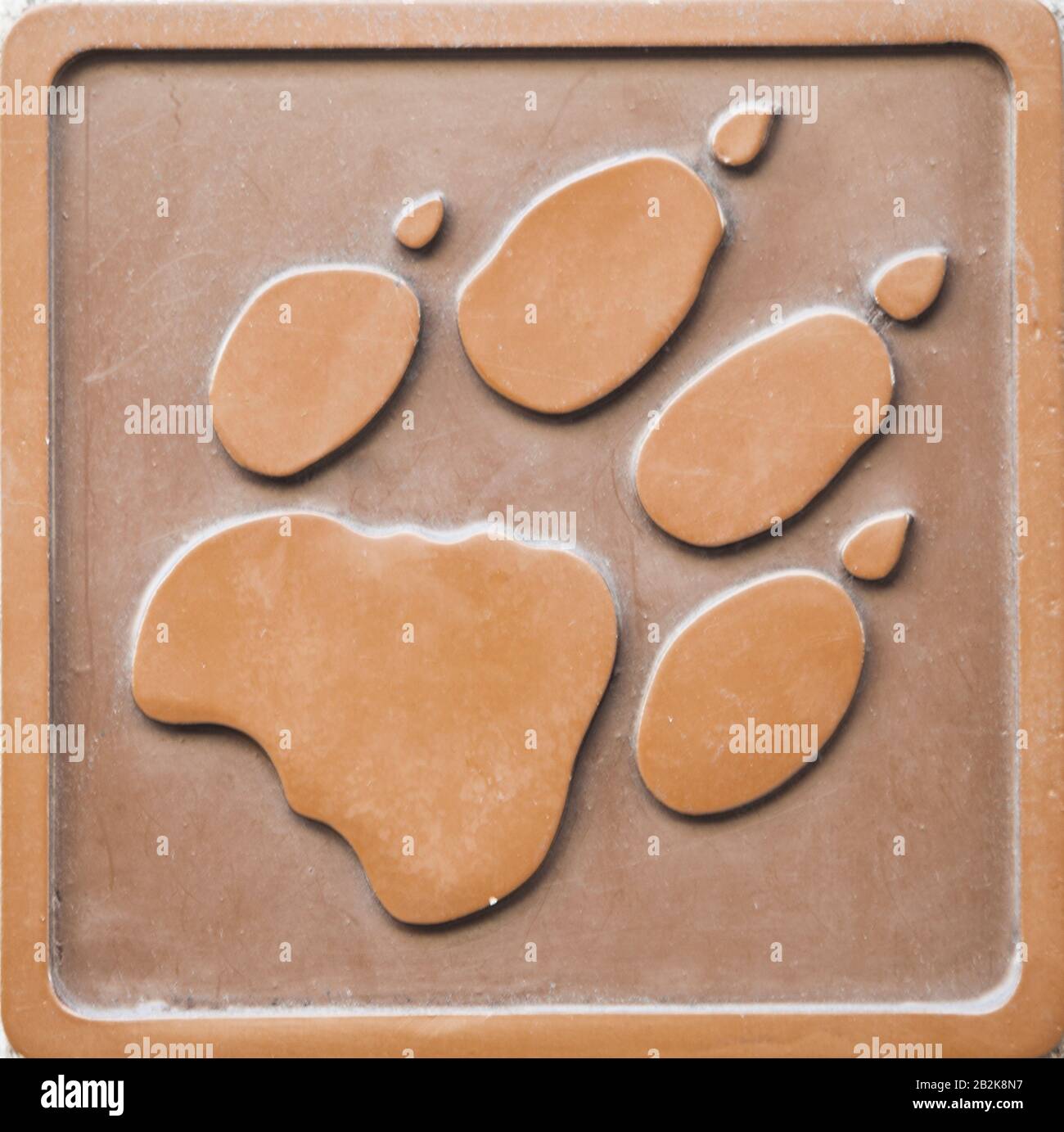 Lion footprint hi-res stock photography and images - Alamy