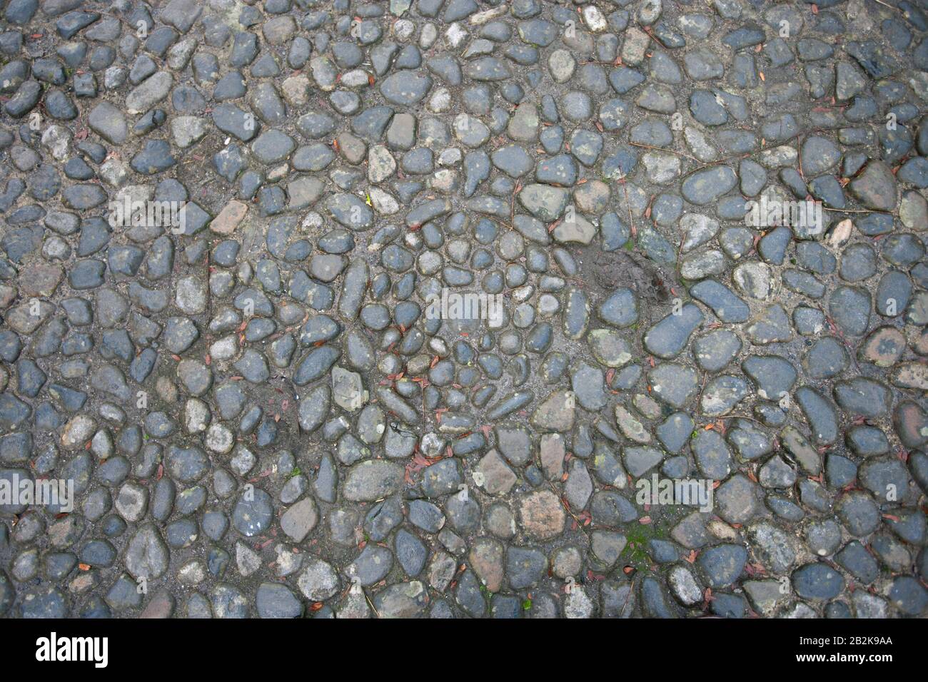 Circle pattern in stone path Stock Photo - Alamy