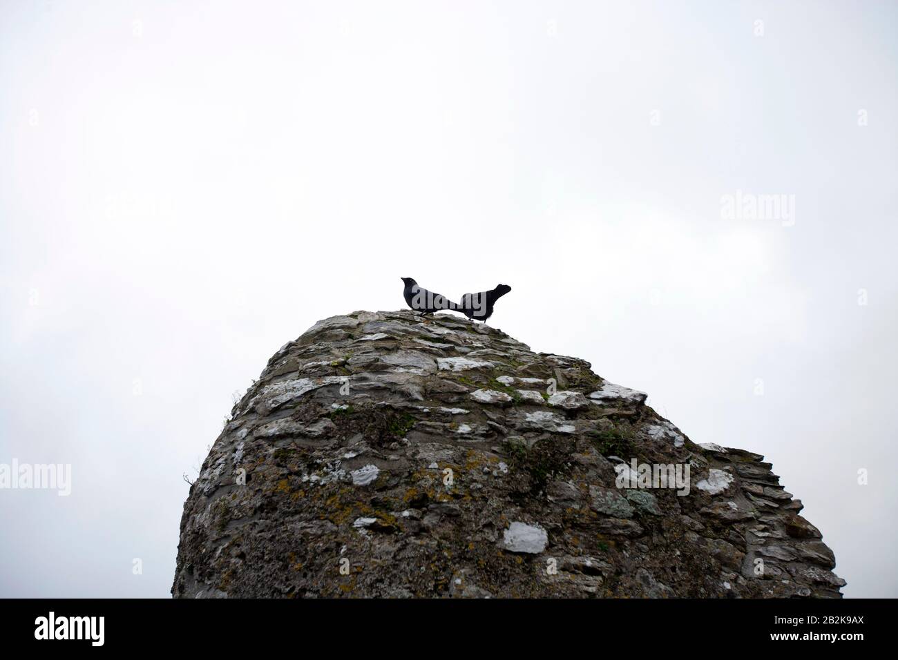 Crows castle hi-res stock photography and images - Alamy