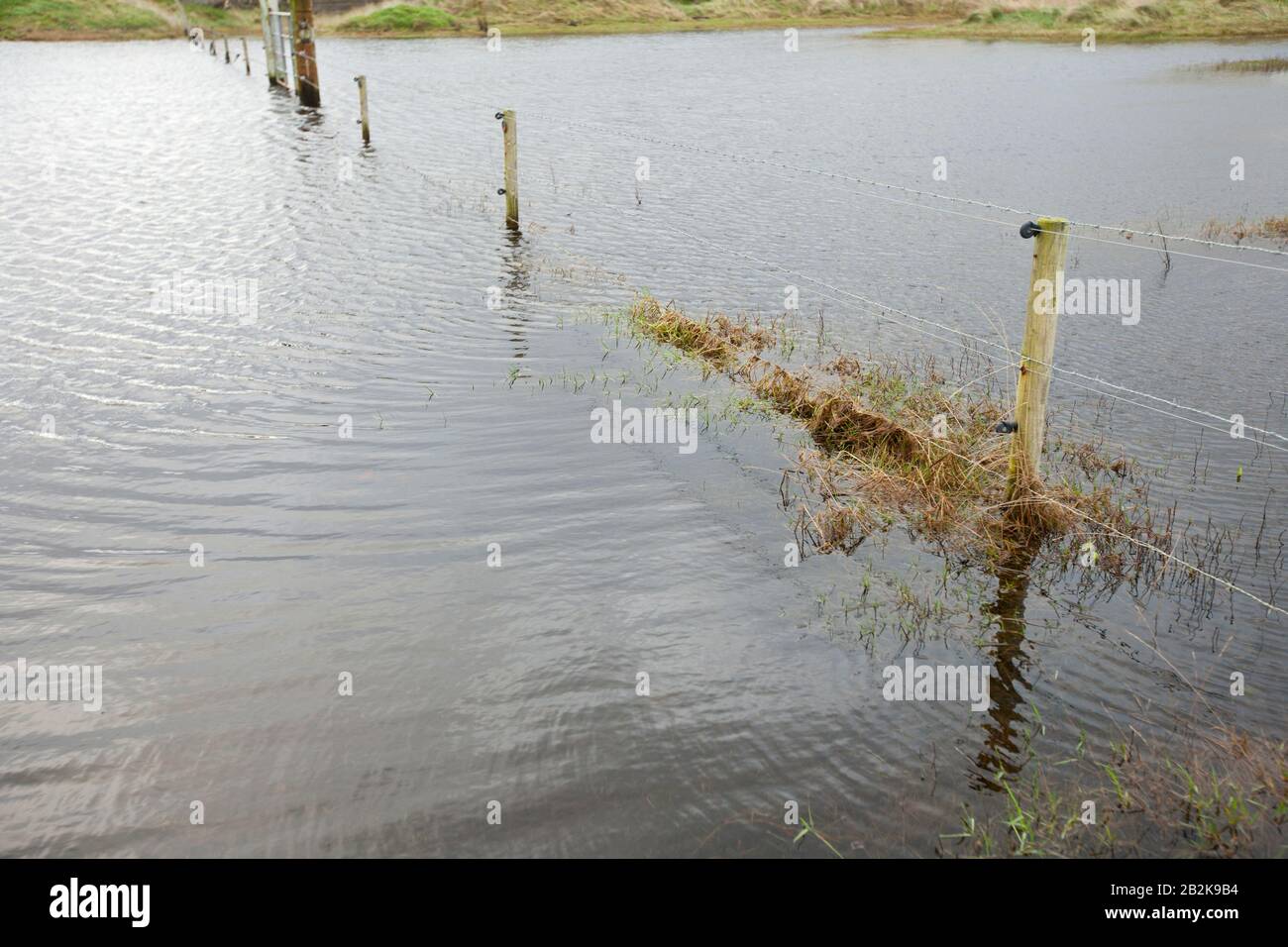 Submerged fence posts Stock Photo - Alamy