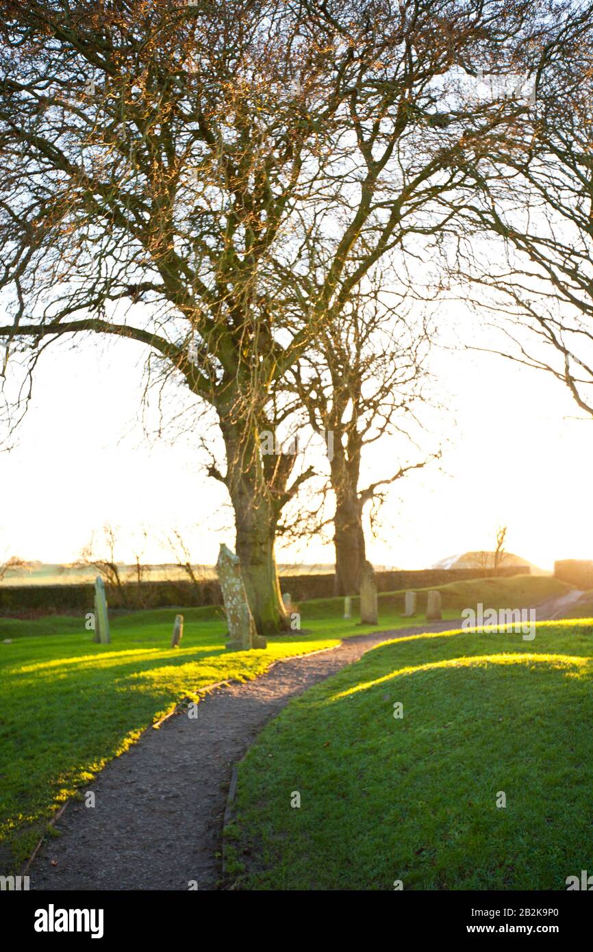 burial site, cemetery, daytime, clear sky, setting sun, sun flare ...