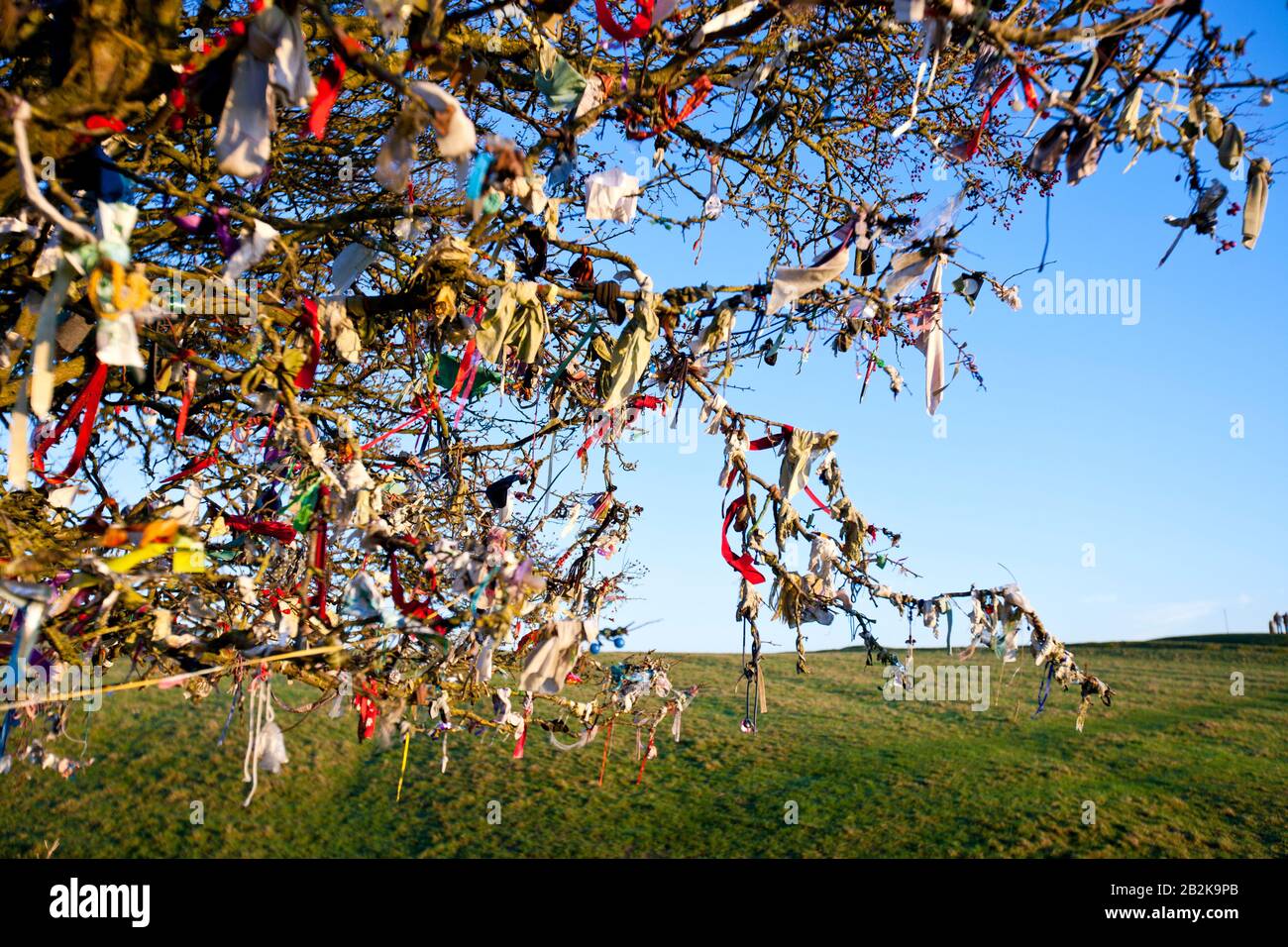 Fairy tree hill tara hi-res stock photography and images - Alamy