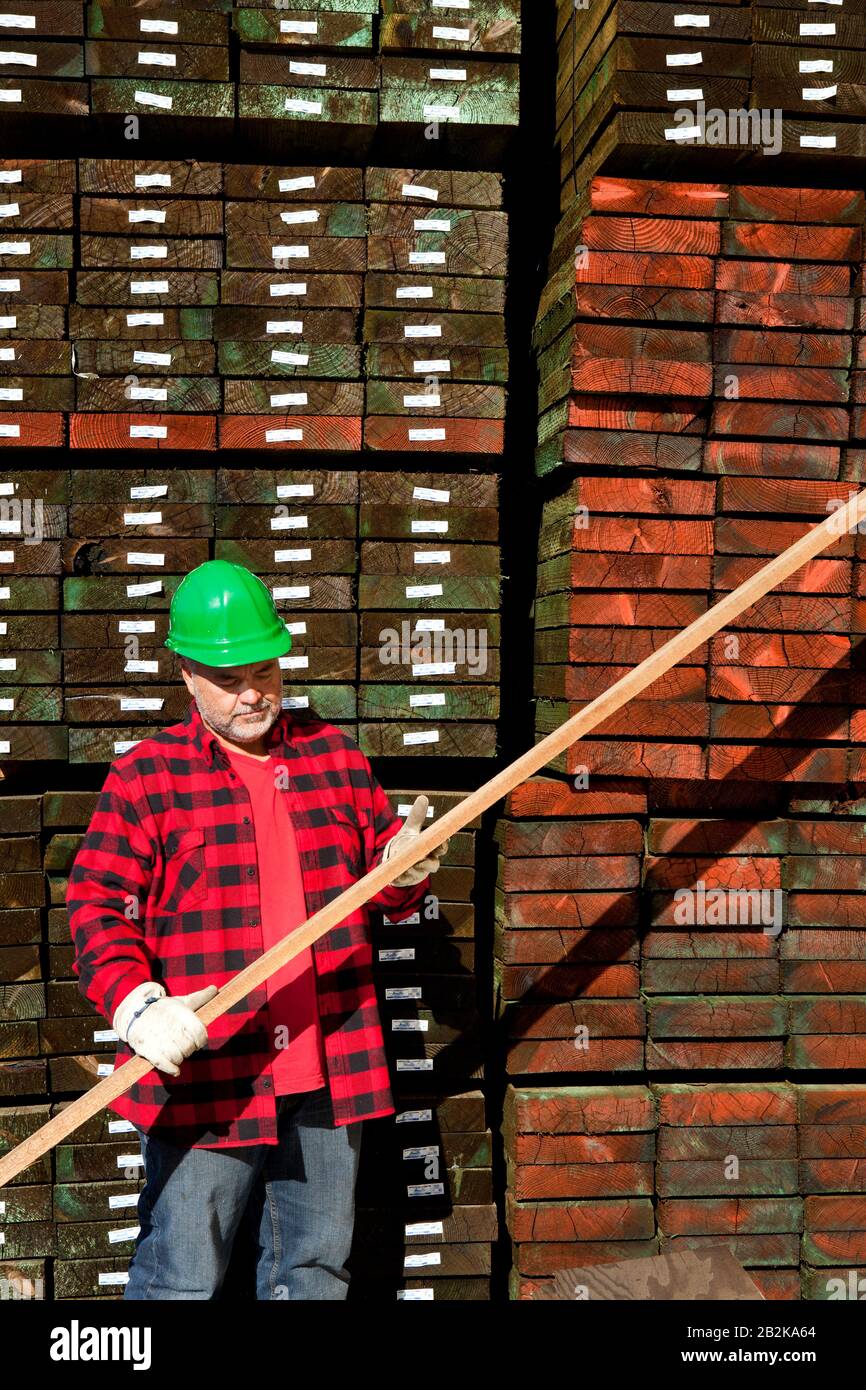 Worker inspecting wood in front of hard wood pile Stock Photo - Alamy