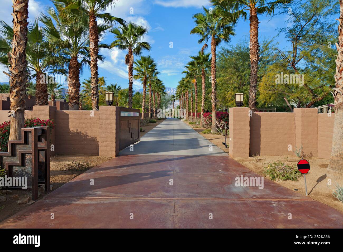 Empty road lined palm trees hi-res stock photography and images - Alamy