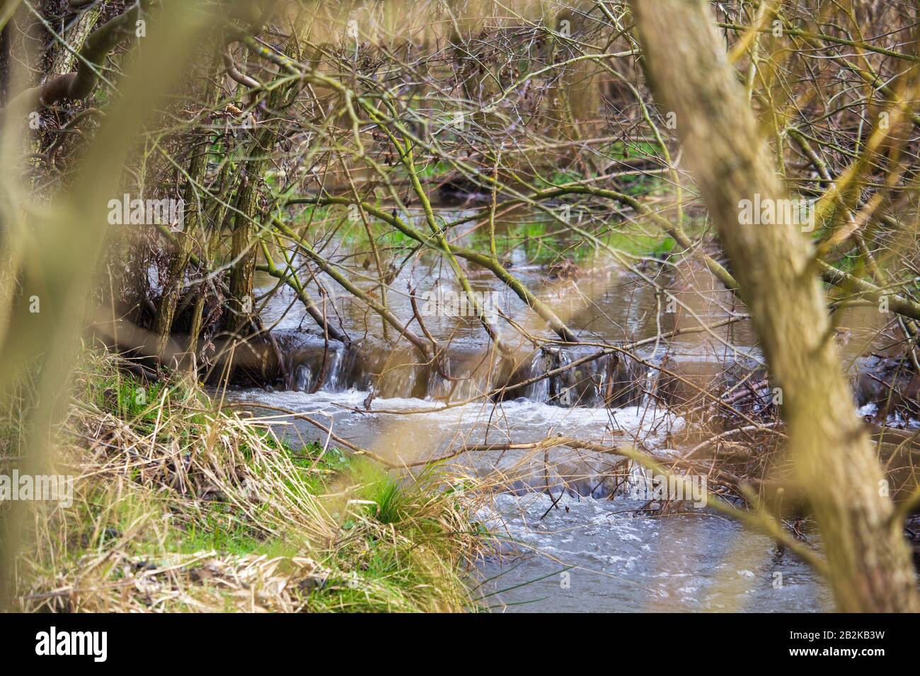 small river with very small waterfall surrounded by trees and bushes ...