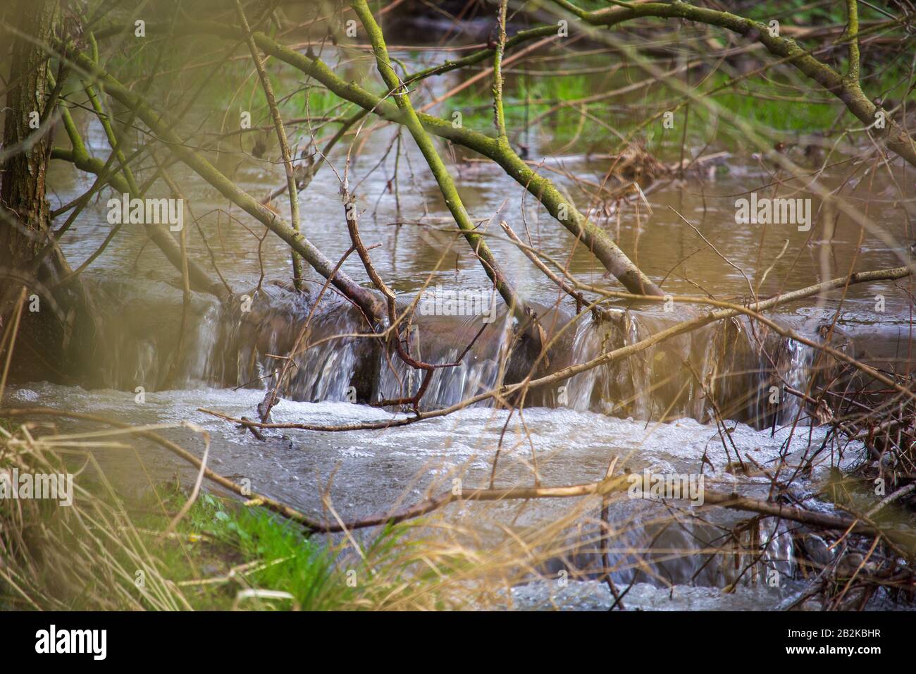 small river with very small waterfall surrounded by trees and bushes ...
