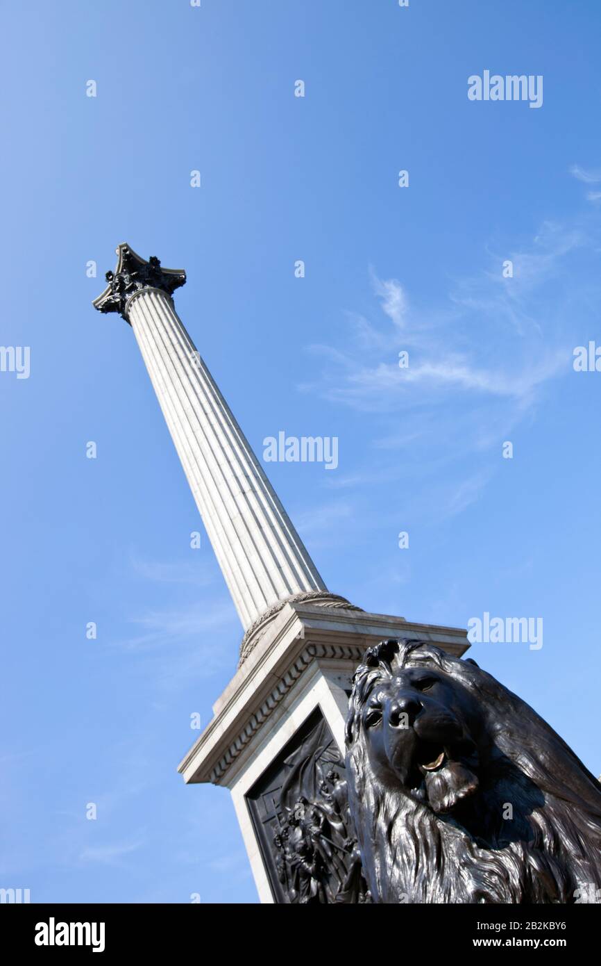 Lion Statue and Nelson's column in Trafalgar Square, London Stock Photo ...