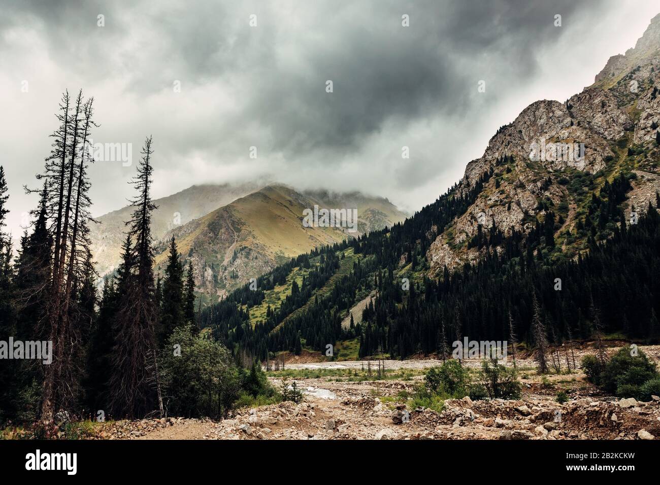 Mountain landscape. Tien Shan. The valley of the river Left Talgar ...