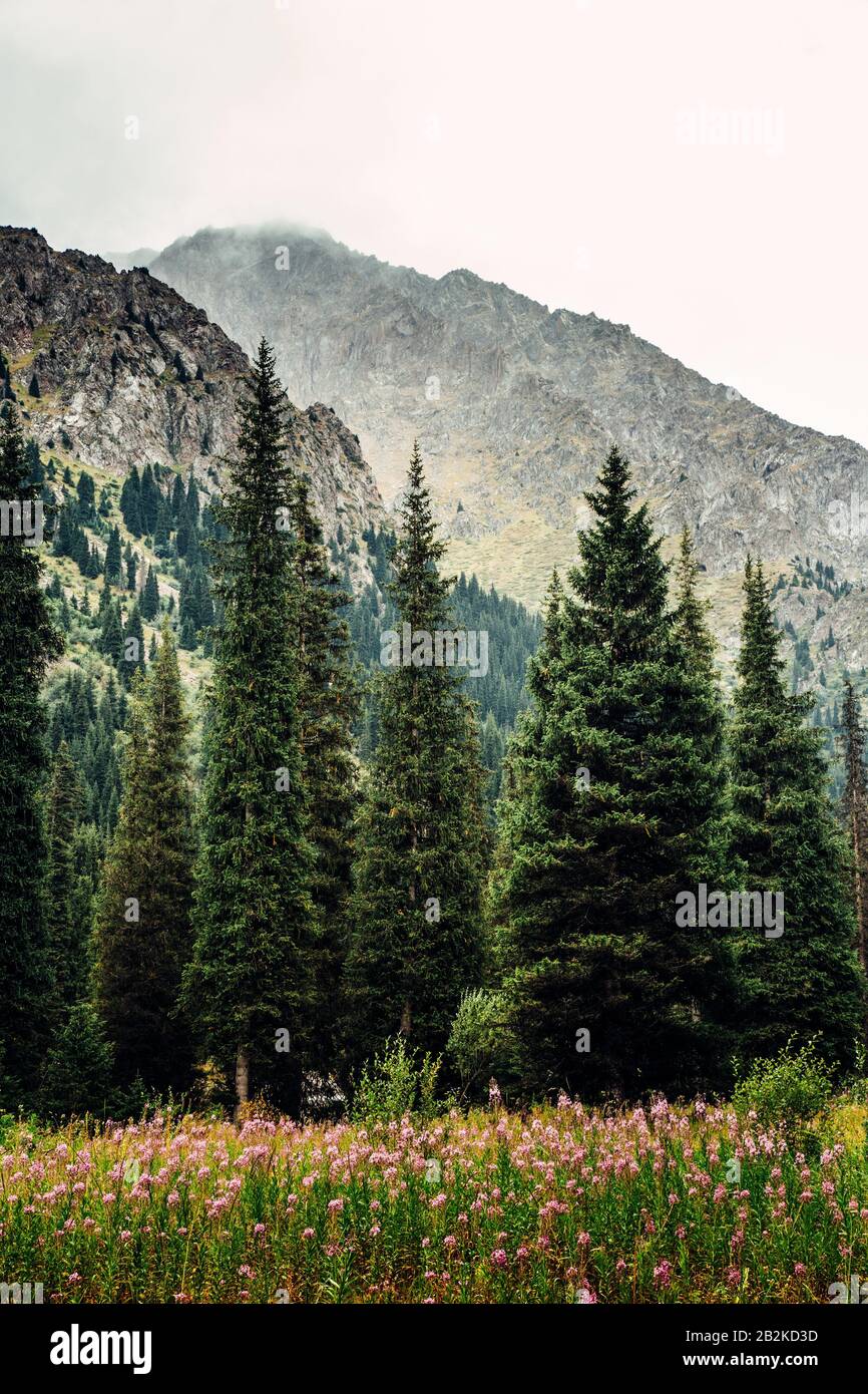 Talgar peak hi-res stock photography and images - Alamy