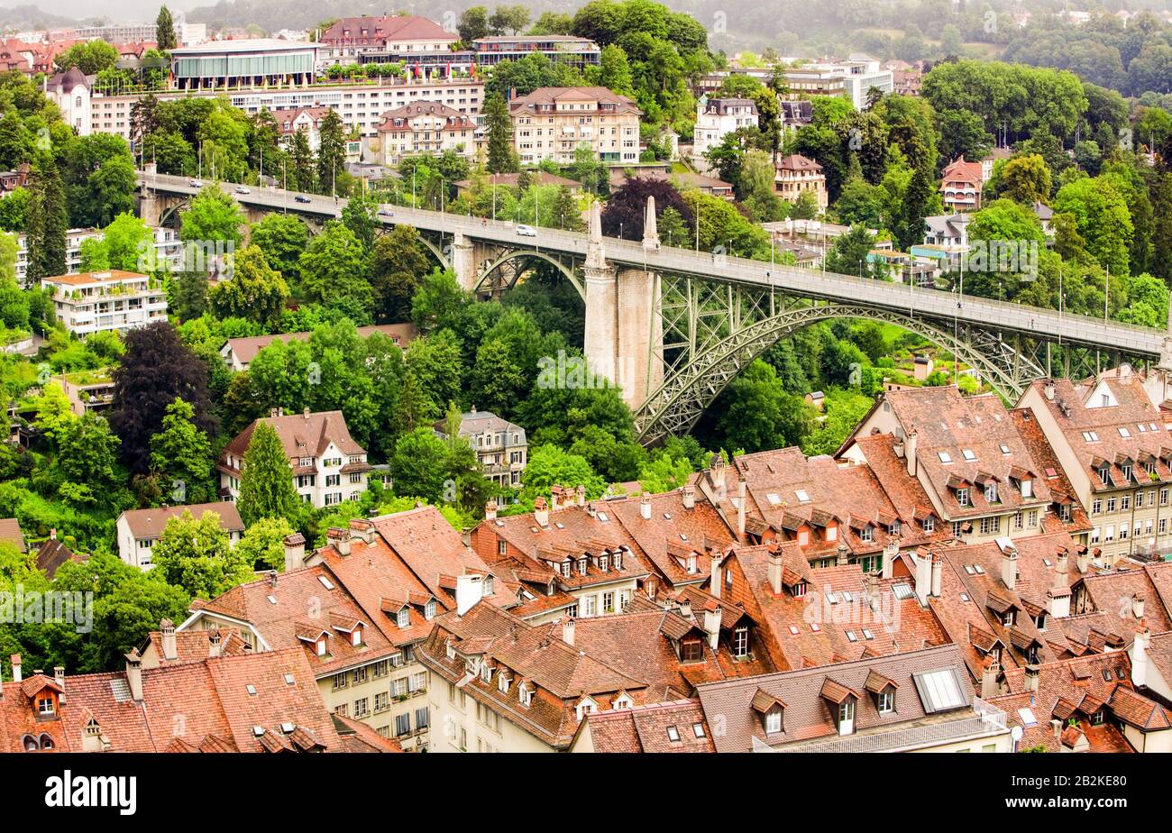 The city ground view forest hi-res stock photography and images - Alamy