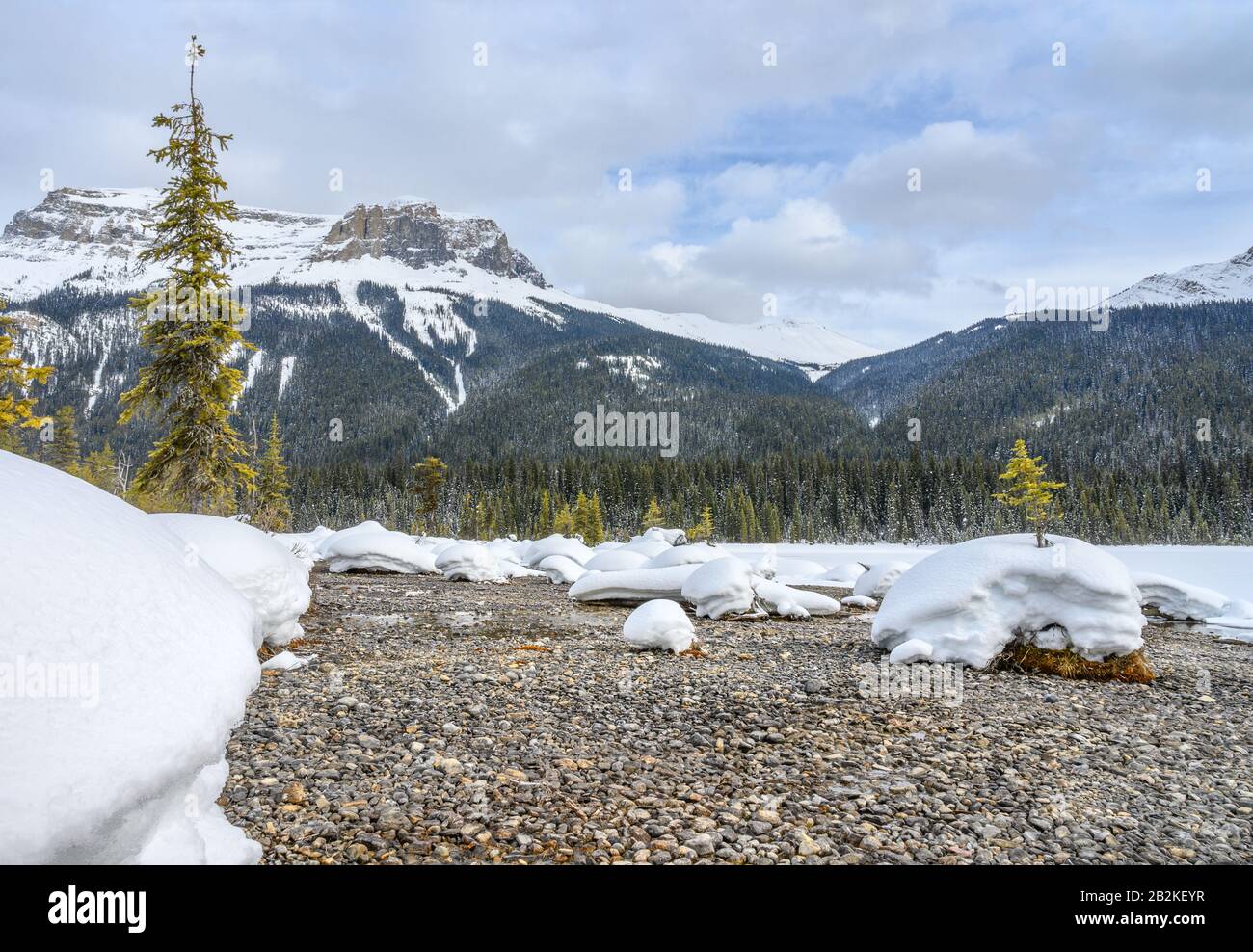 Winter view of moguls at Emerald Lake in Yoho National Park, British ...