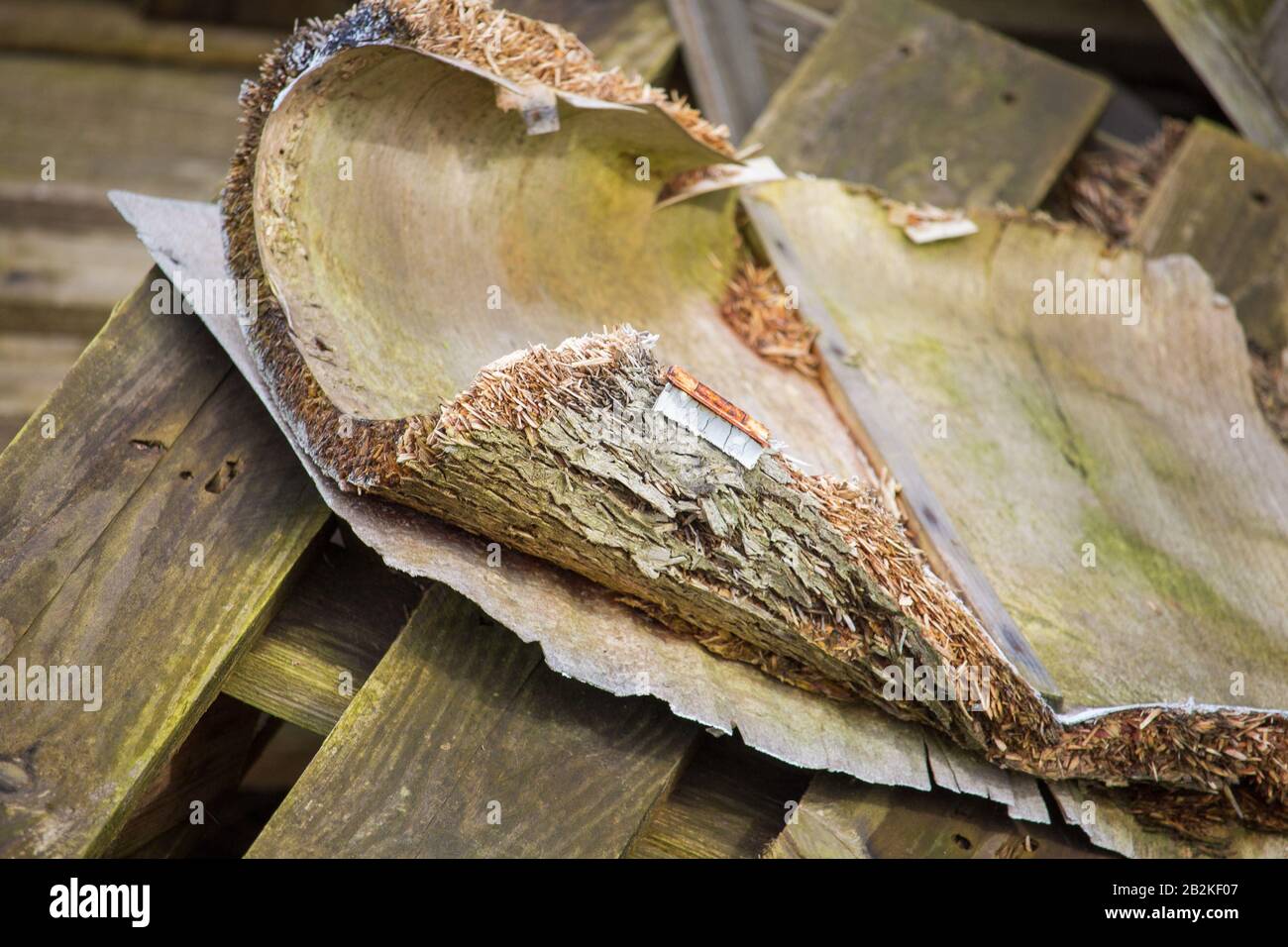 old plywood board which is deformed by the weather Stock Photo - Alamy