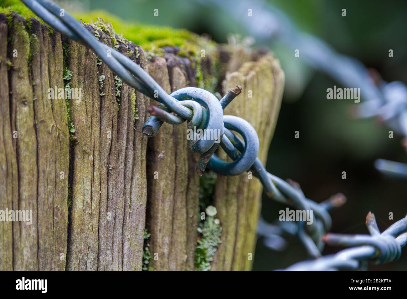 Wire loop hi-res stock photography and images - Alamy