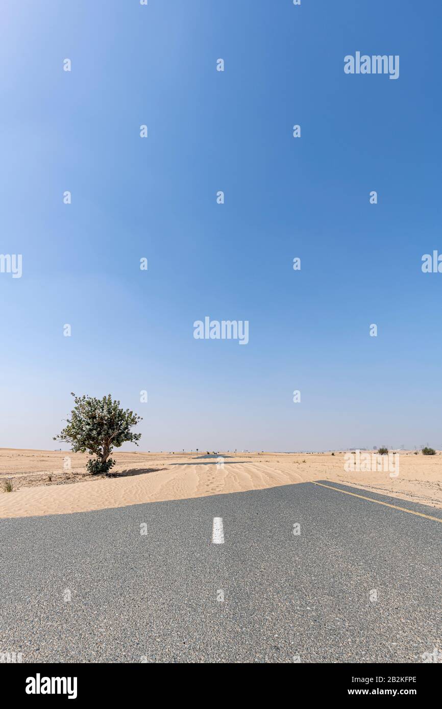 Empty desolate landscape hi-res stock photography and images - Alamy