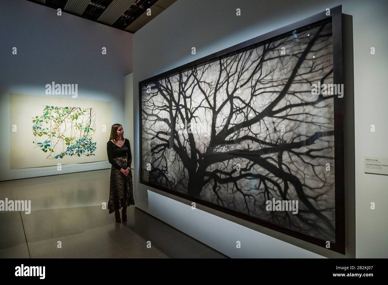 Sleepy trees hi-res stock photography and images - Alamy