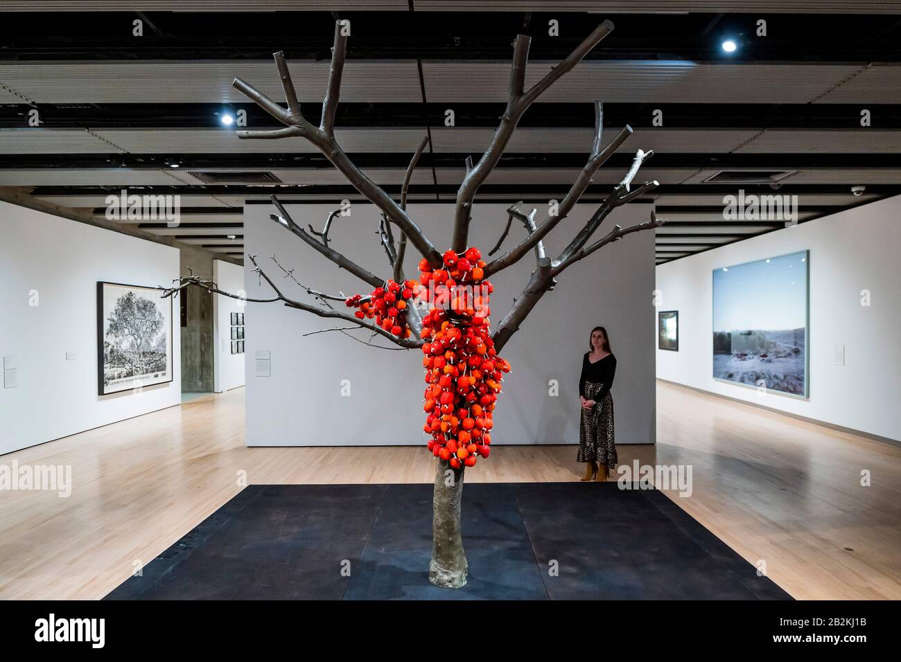 Hayward Gallery, London, UK. 3rd Mar 2020. Anya Gallaccio, because I ...