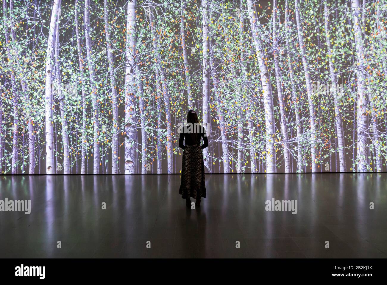 Hayward Gallery, London, UK. 3rd Mar 2020. Jennifer Steinkamp, Blind ...