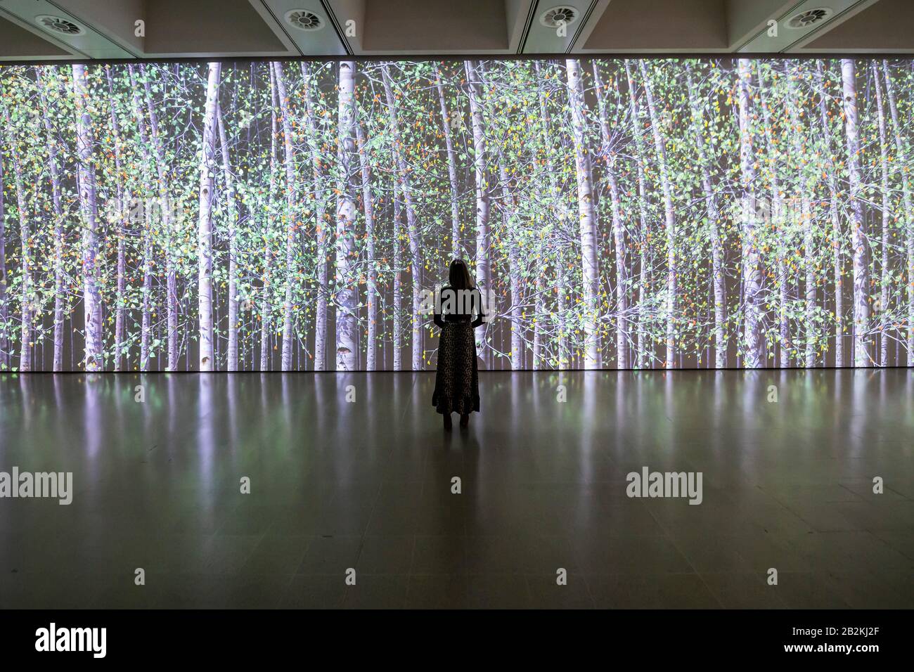 Hayward Gallery, London, UK. 3rd Mar 2020. Jennifer Steinkamp, Blind ...