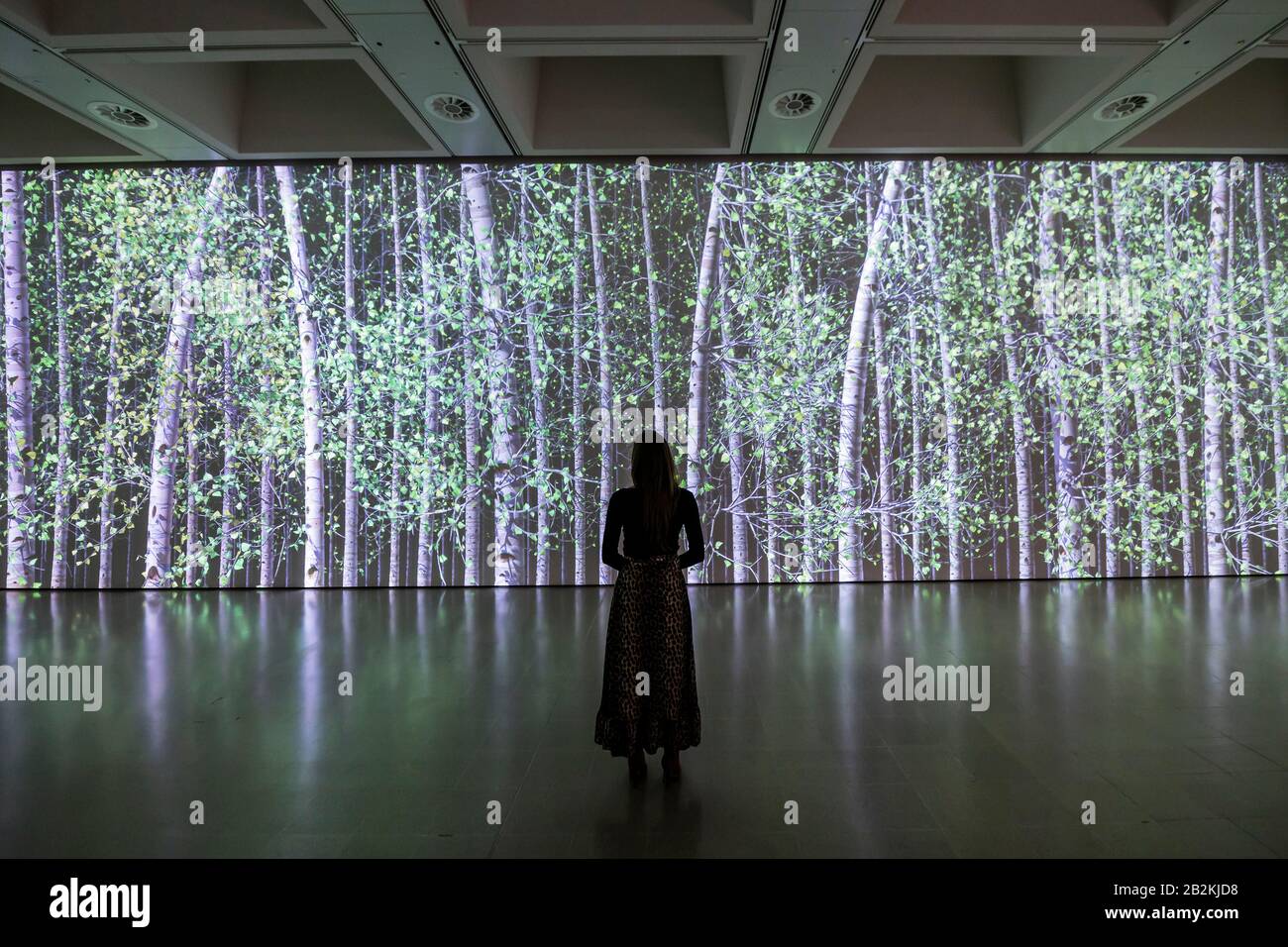 Hayward Gallery, London, UK. 3rd Mar 2020. Jennifer Steinkamp, Blind ...
