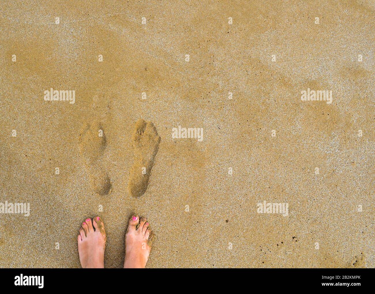 Beautiful feet and legs hi-res stock photography and images - Alamy