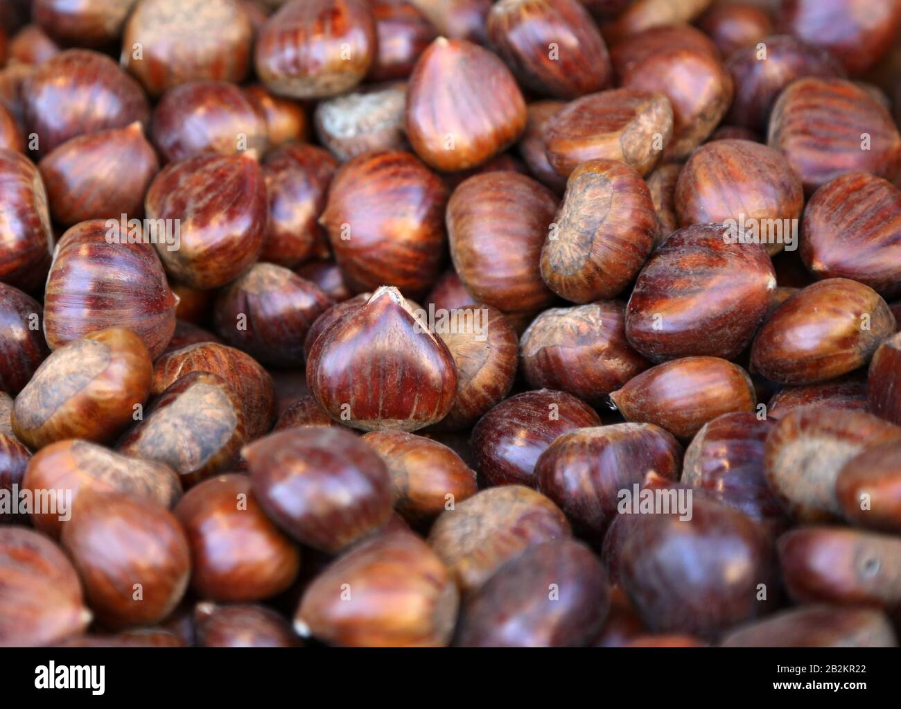 View from above of chestnuts. Pile of ripe chestnuts for food ...