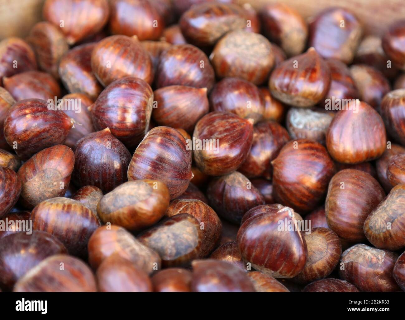 View from above of chestnuts. Pile of ripe chestnuts for food ...