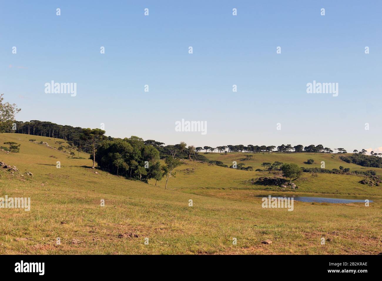 Rural Settings High Resolution Stock Photography and Images - Alamy